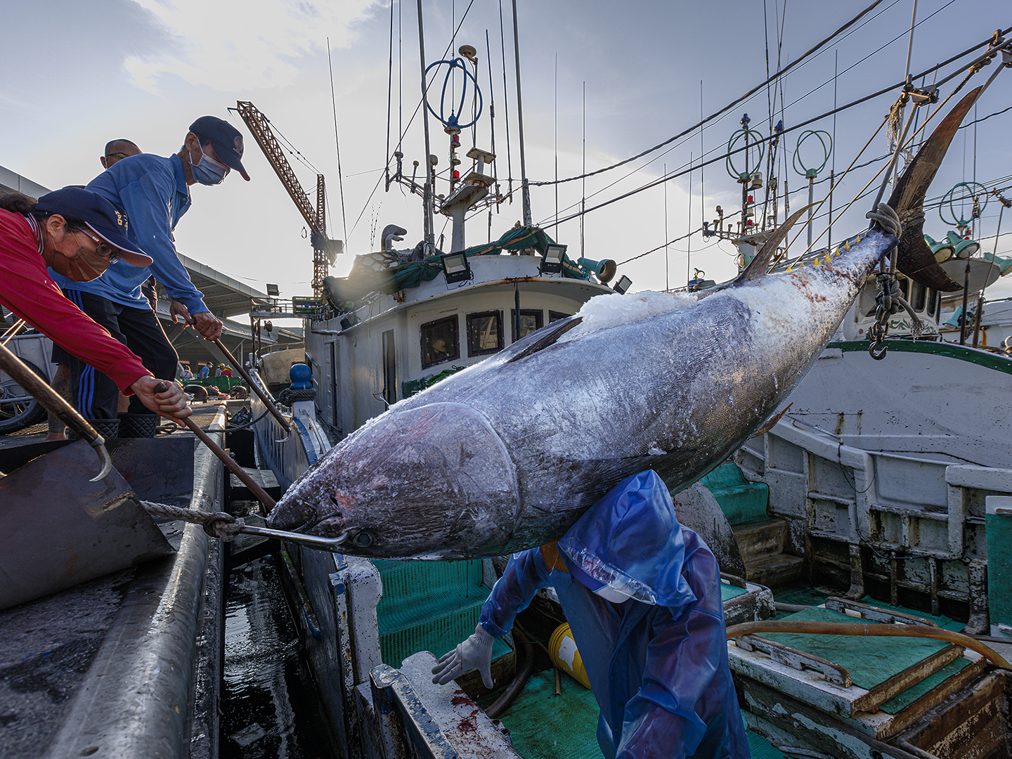 Taiwan Photo Circuit 2023
